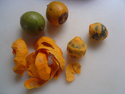 tucumã em casa - Xamanismo